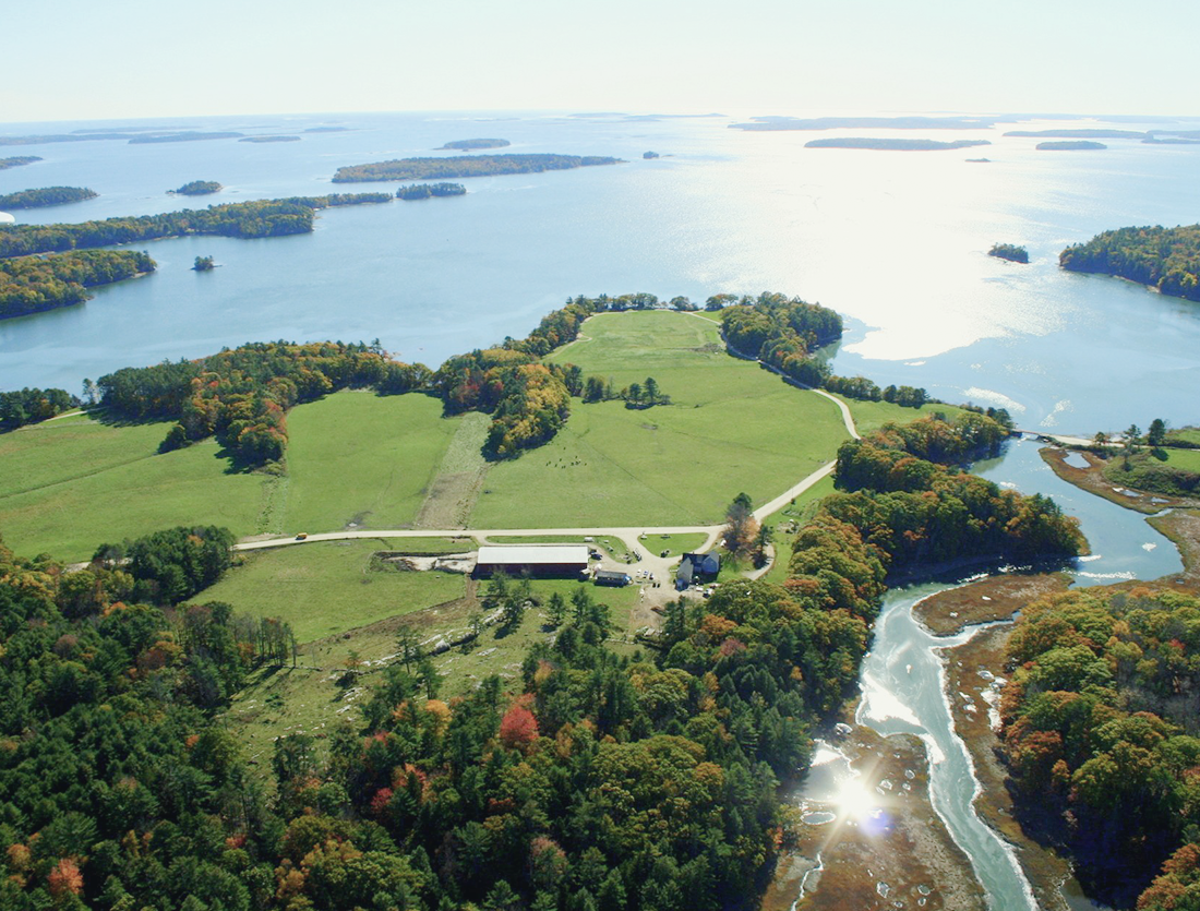 Visit | Wolfe's Neck Center | Coastal Farming & Agriculture