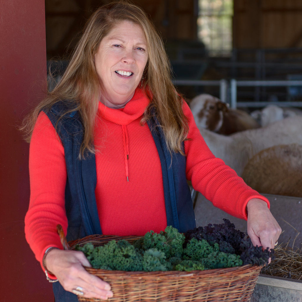 Susan Connolly - Wolfe's Neck