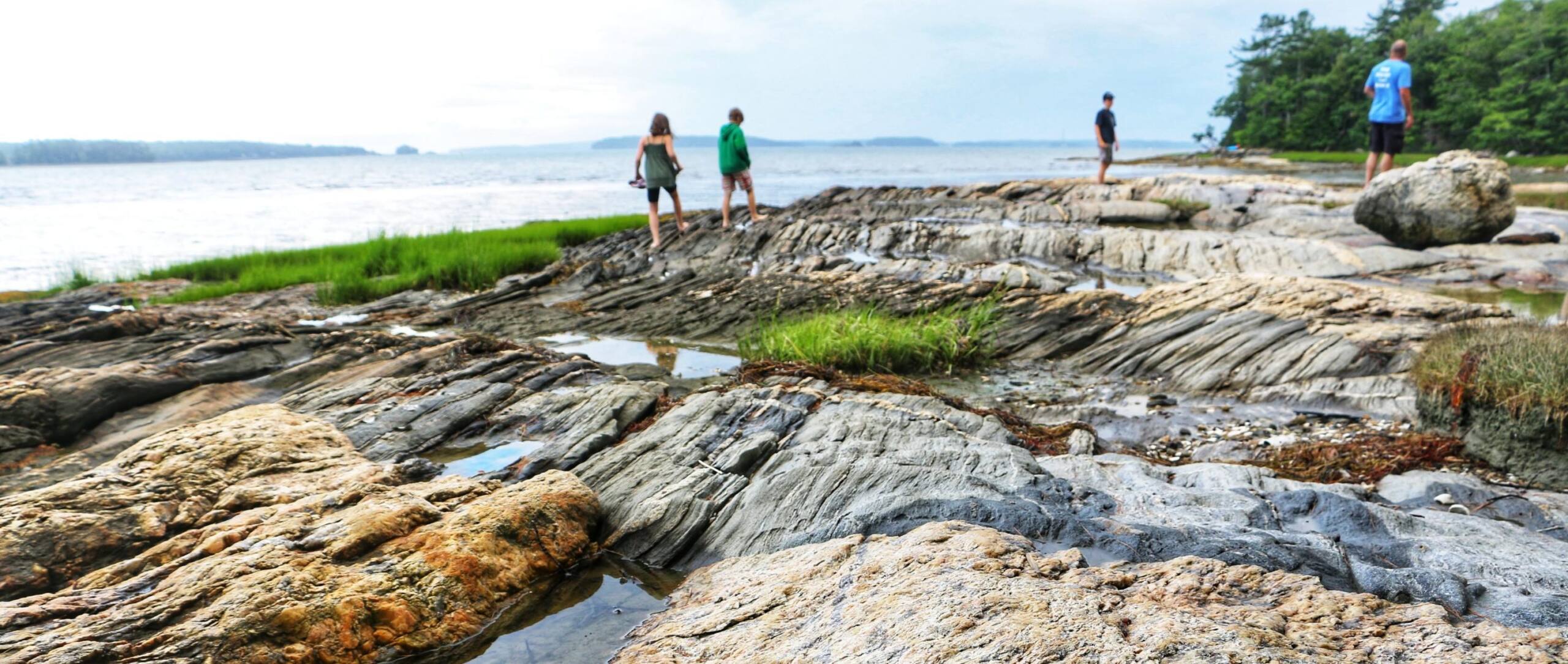 Explore | Wolfe's Neck Center | Sustainable Farming & Agriculture