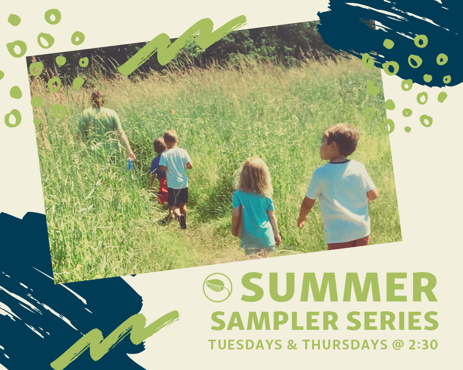 Sustainable Coastal Farming | Wolfe's Neck Center | Freeport, Maine