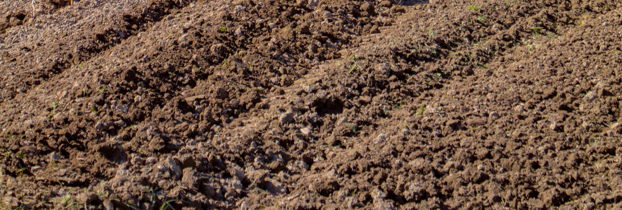 Subsoiler on the Farm (VIDEO) - Wolfe's Neck