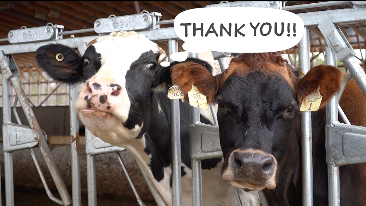 Thank You for Your Support (VIDEOS) - Wolfe's Neck