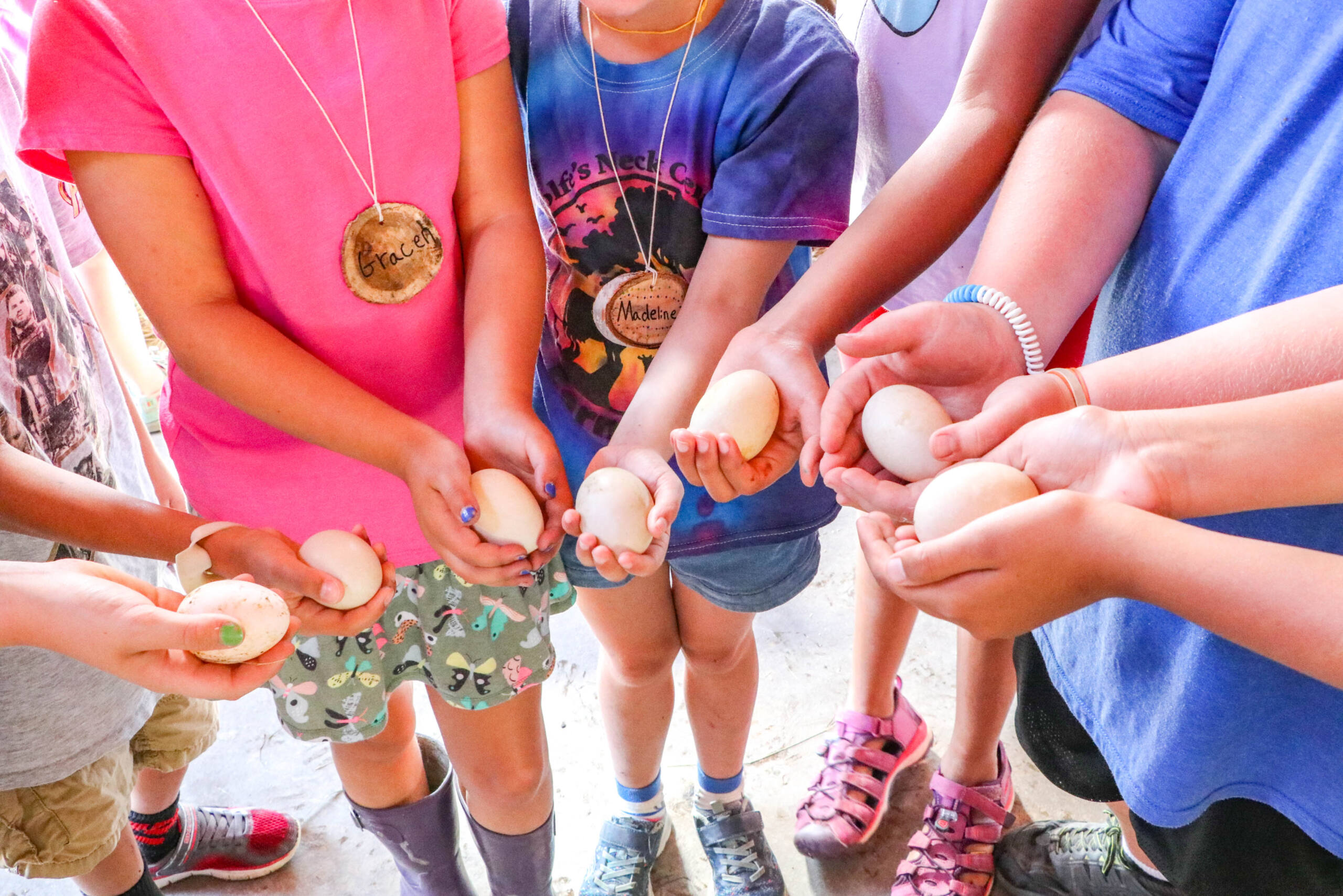 Farm Discovery Program for Kids - Wolfe's Neck