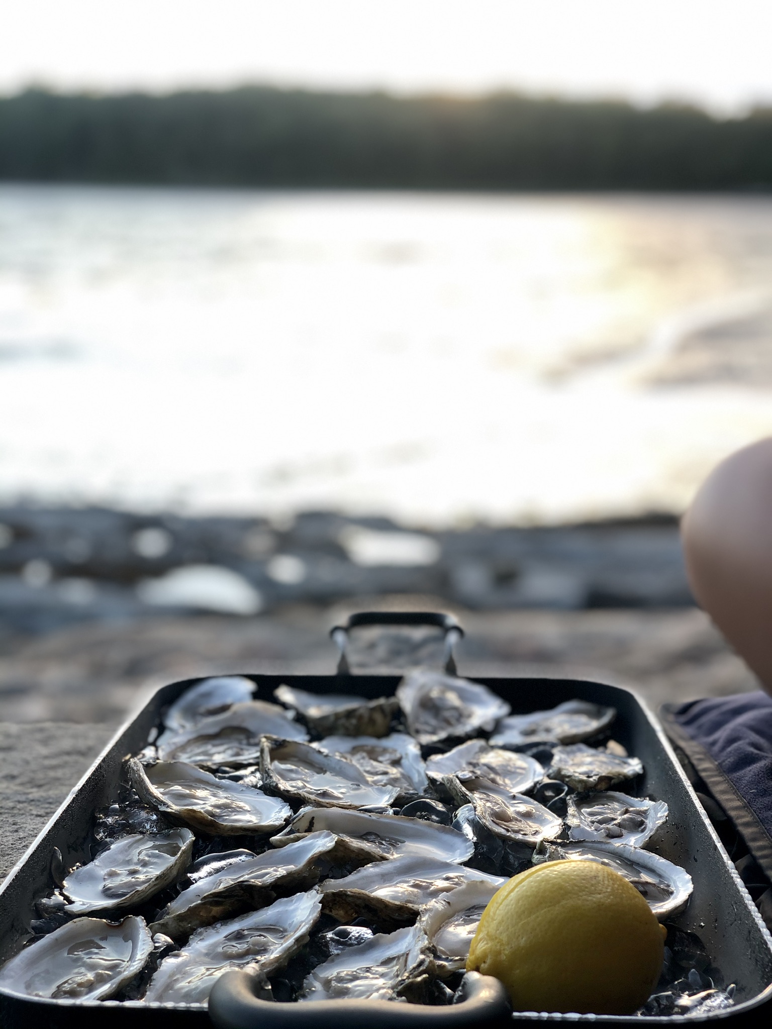 Oyster Shucking and Tasting with Love Point Oysters - Wolfe's Neck