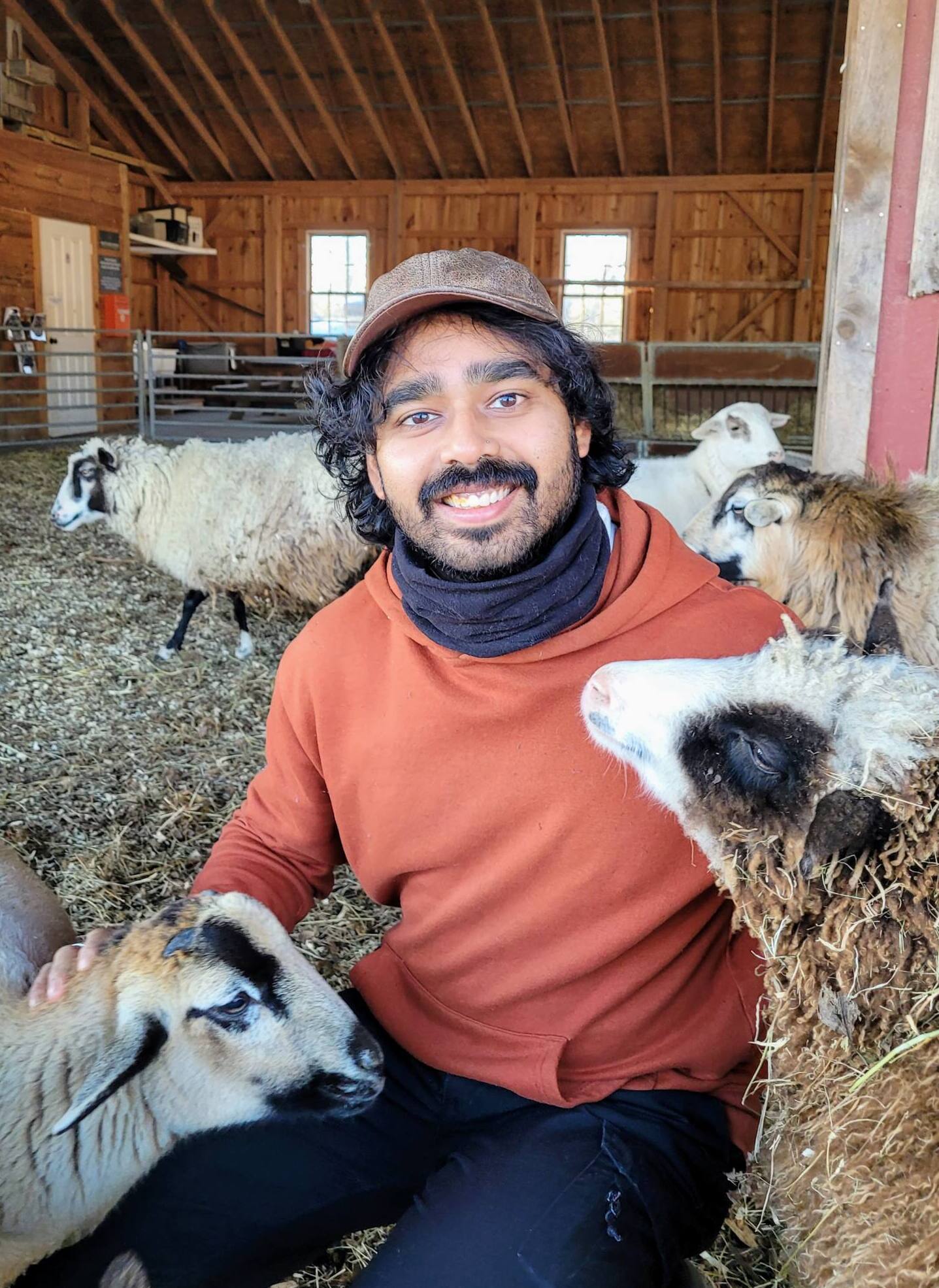 Karna Ray - Wolfe's Neck