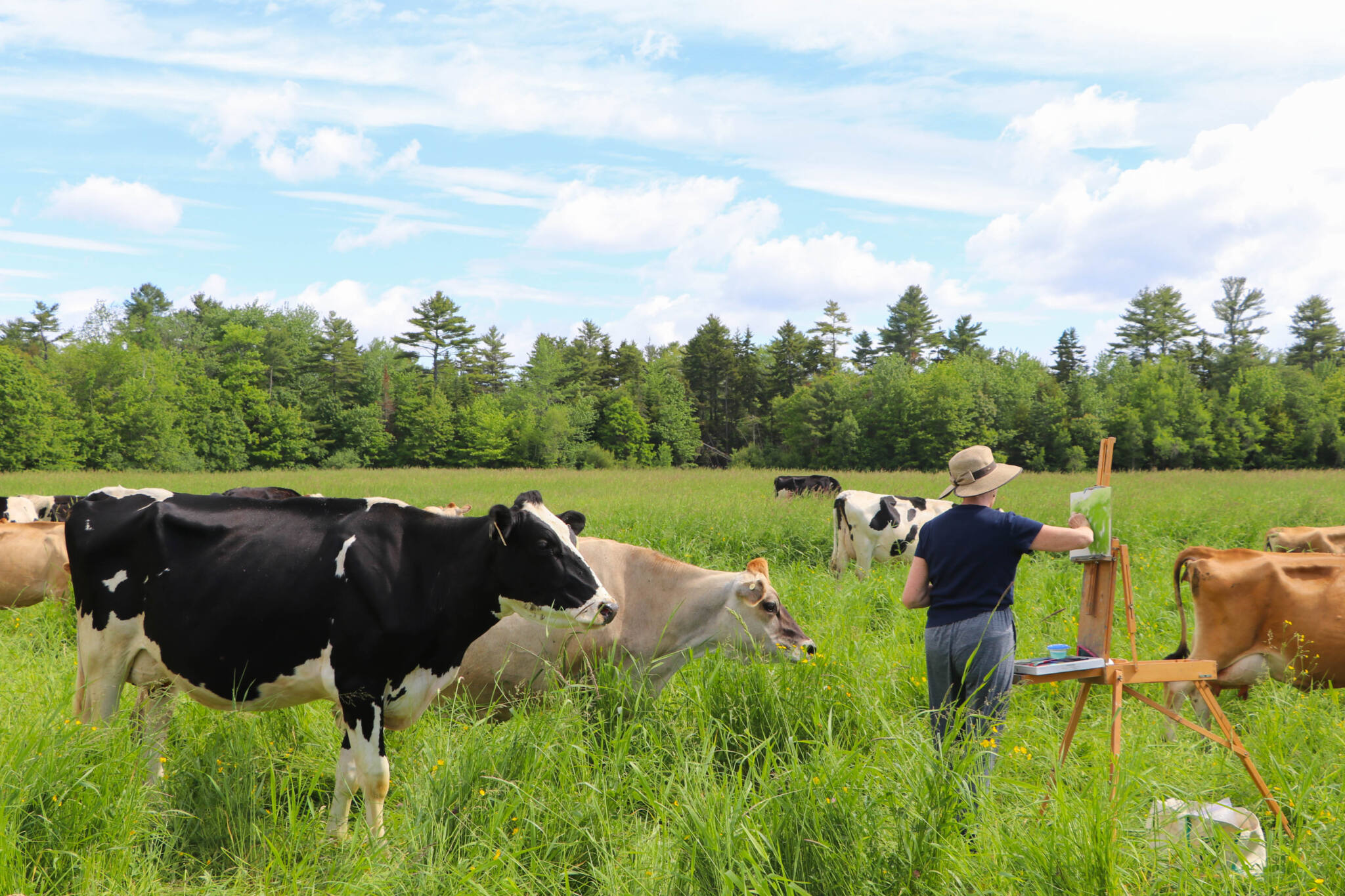 Explore | Wolfe's Neck Center | Sustainable Farming & Agriculture