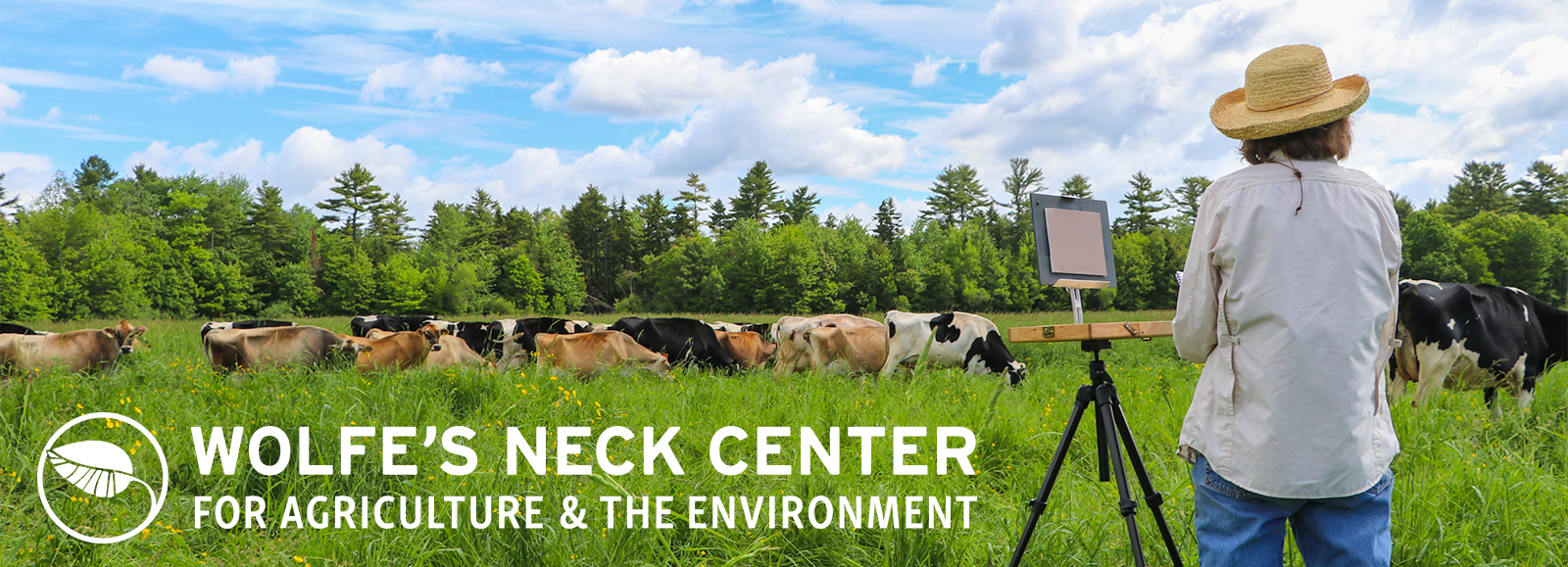 Farm-to-Easel Art Auction: Jennifer Safford Kimball Artist Spotlight - Wolfe's Neck