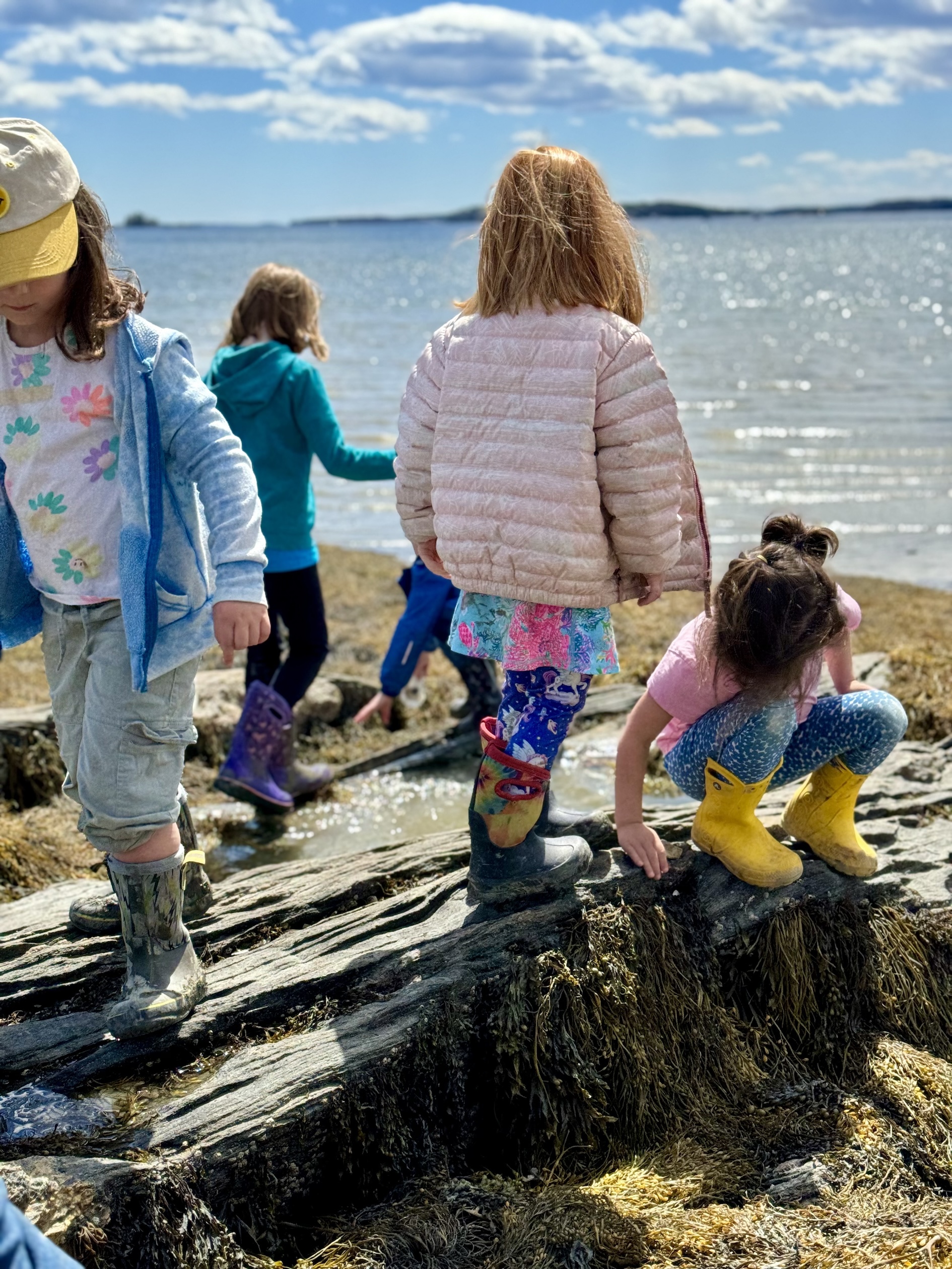 Farm Camp | Wolfe's Neck Center | Sustainable Coastal Farming