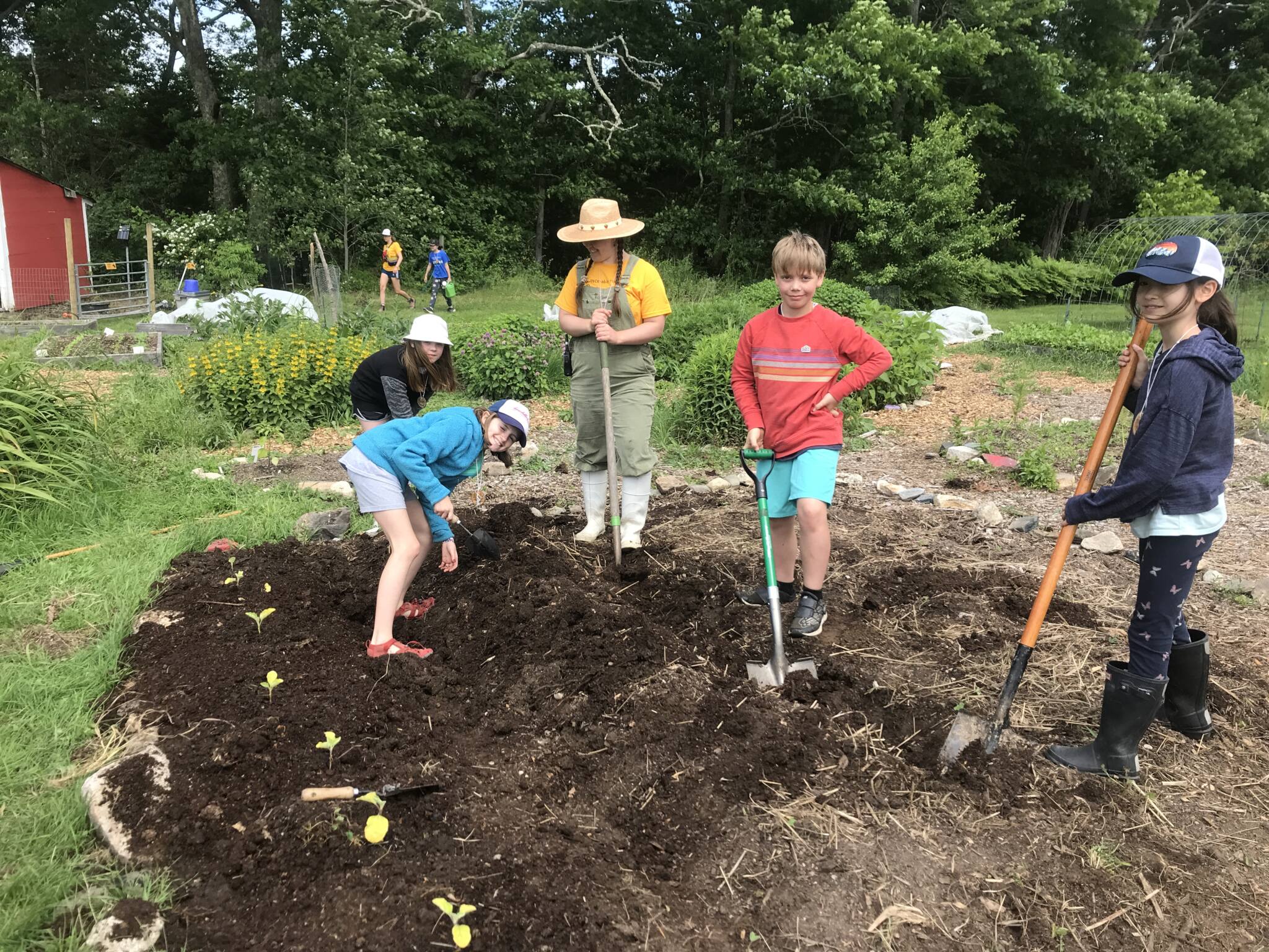Farm Camp | Wolfe's Neck Center | Sustainable Coastal Farming